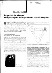 Portail documentaire INRS - La prise de risque. Exemple : la prise de risque chez les sapeurs ...